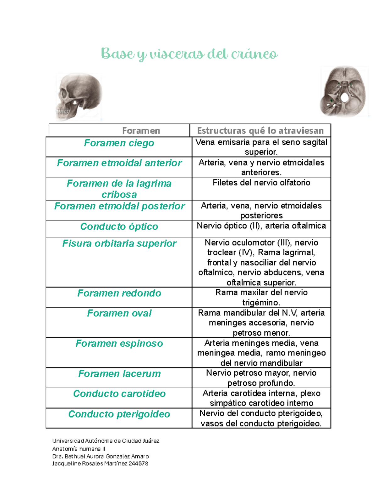 Anatomía Ii Foramenes Y Vísceras Del Cráneo En Detalle Studocu