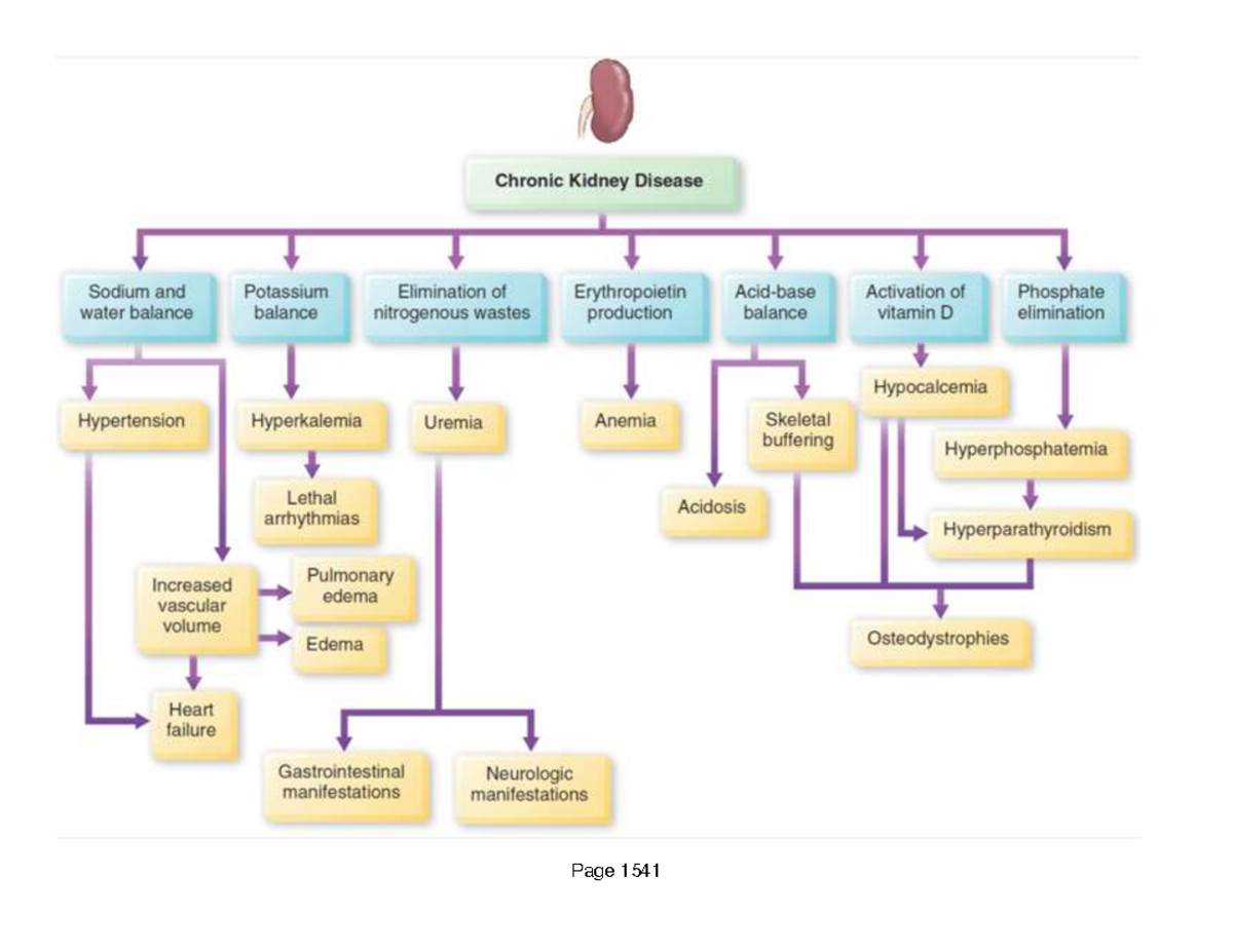 Renal handout - Medical Surgical III - Page Page - Studocu