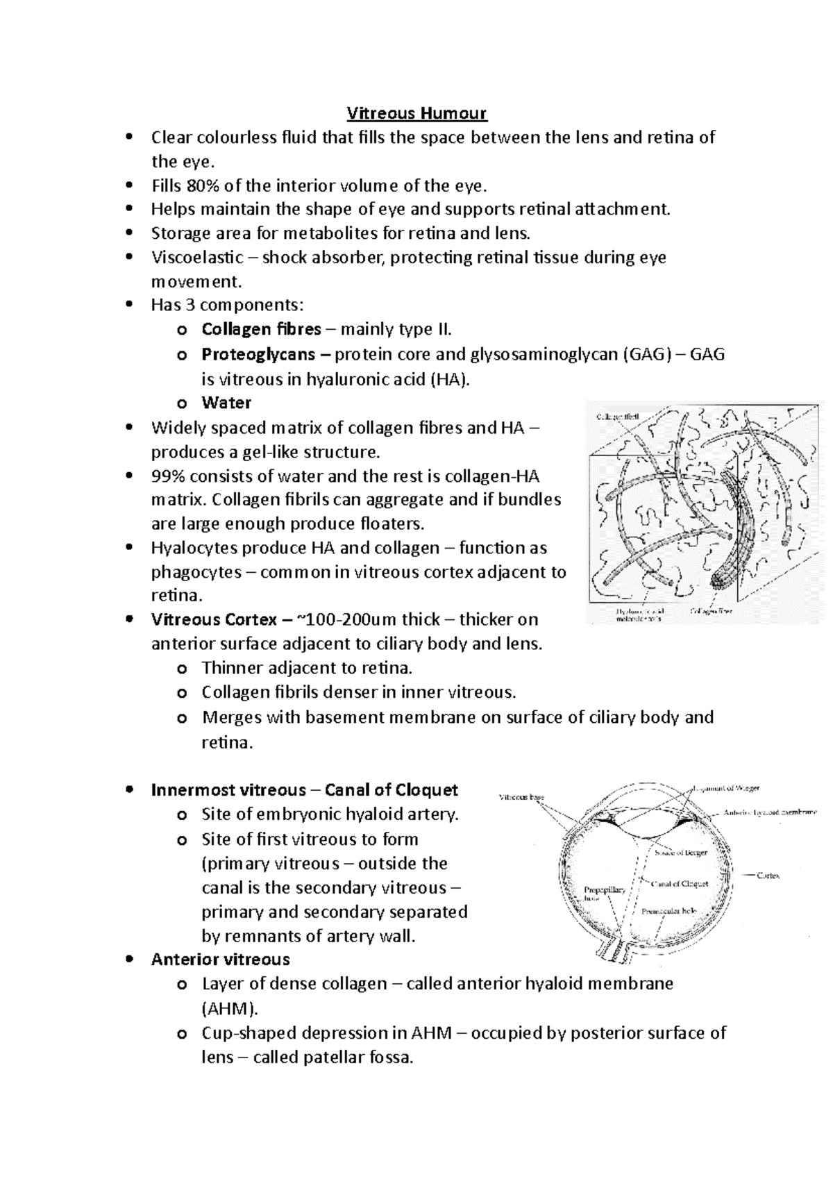 Aqueous humour - Ron and Simon - Vitreous Humour Clear colourless fluid ...
