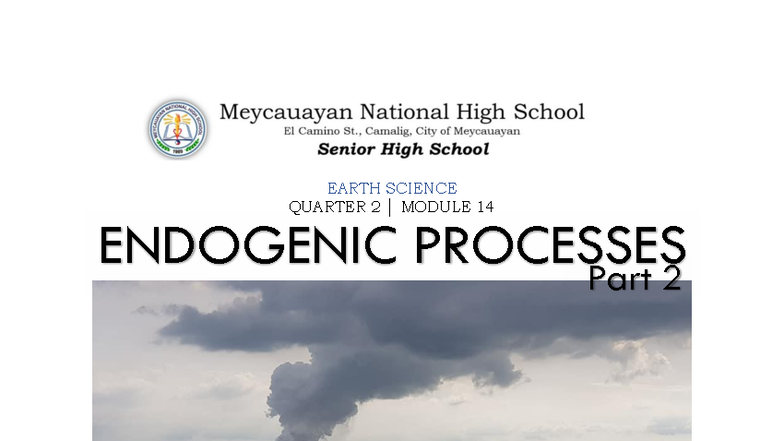 Endogenic Processes: Understanding Volcanism and Magma Formation (Earth ...