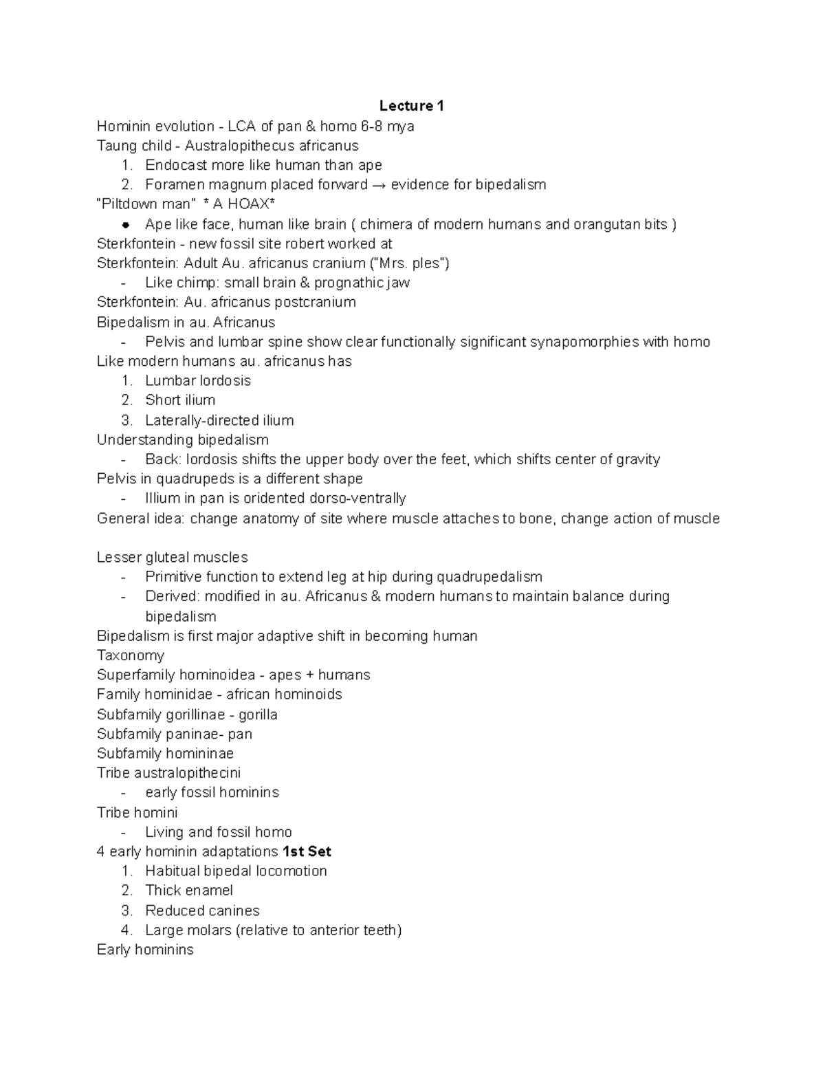 Bio Anthro 3: Early Hominin Evolution & Stone Tools - Lecture Notes ...