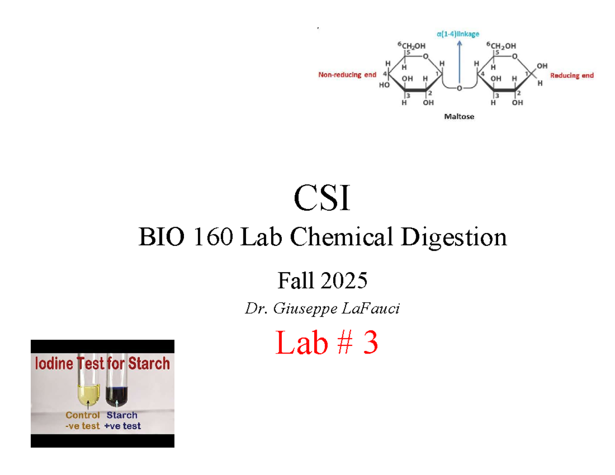 CSI BIO 160 Lab 3: Chemical Digestion Experiments Fall 2025 - Studocu