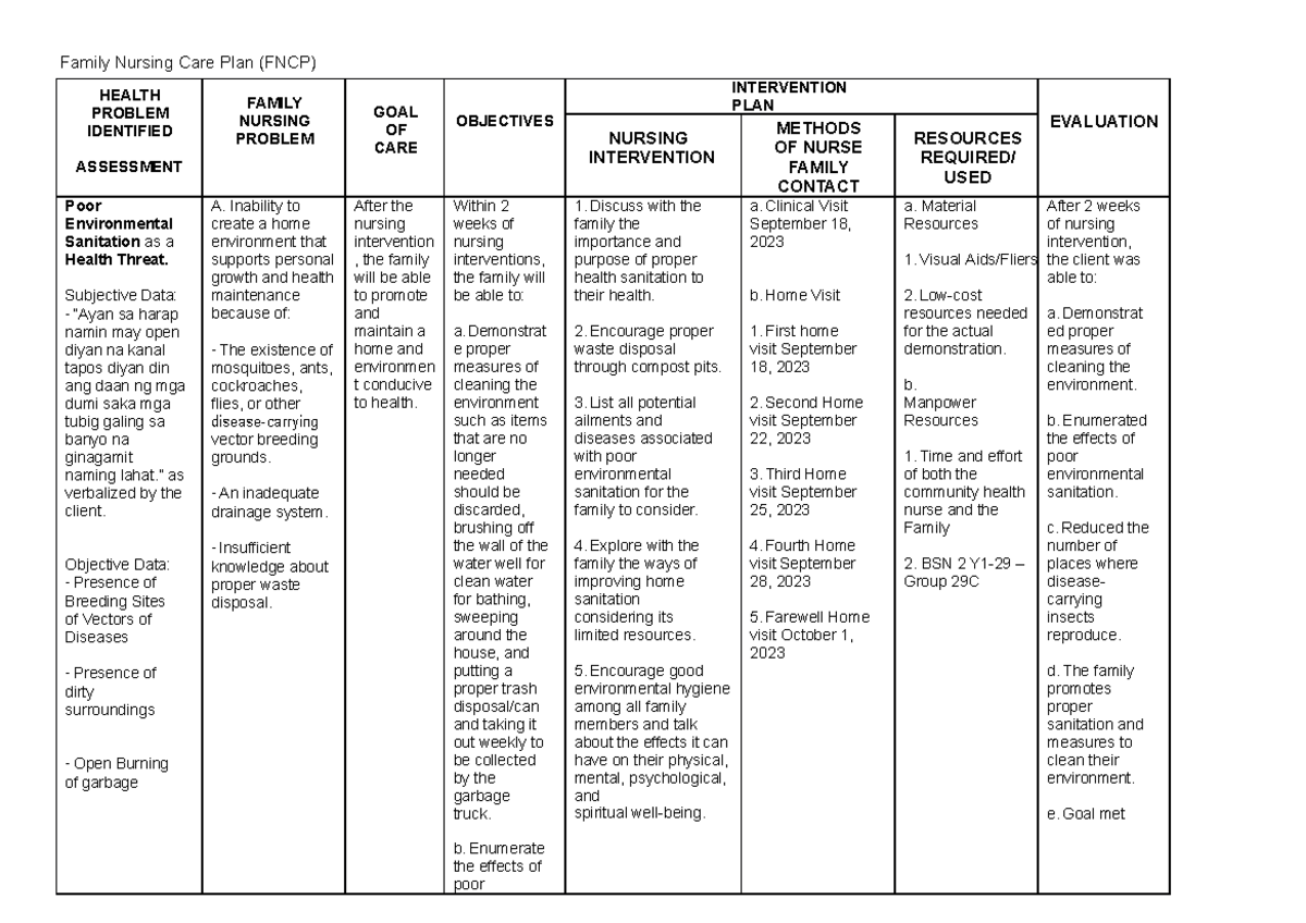 Family Nursing Care Plan: Addressing Environmental Sanitation Issues ...