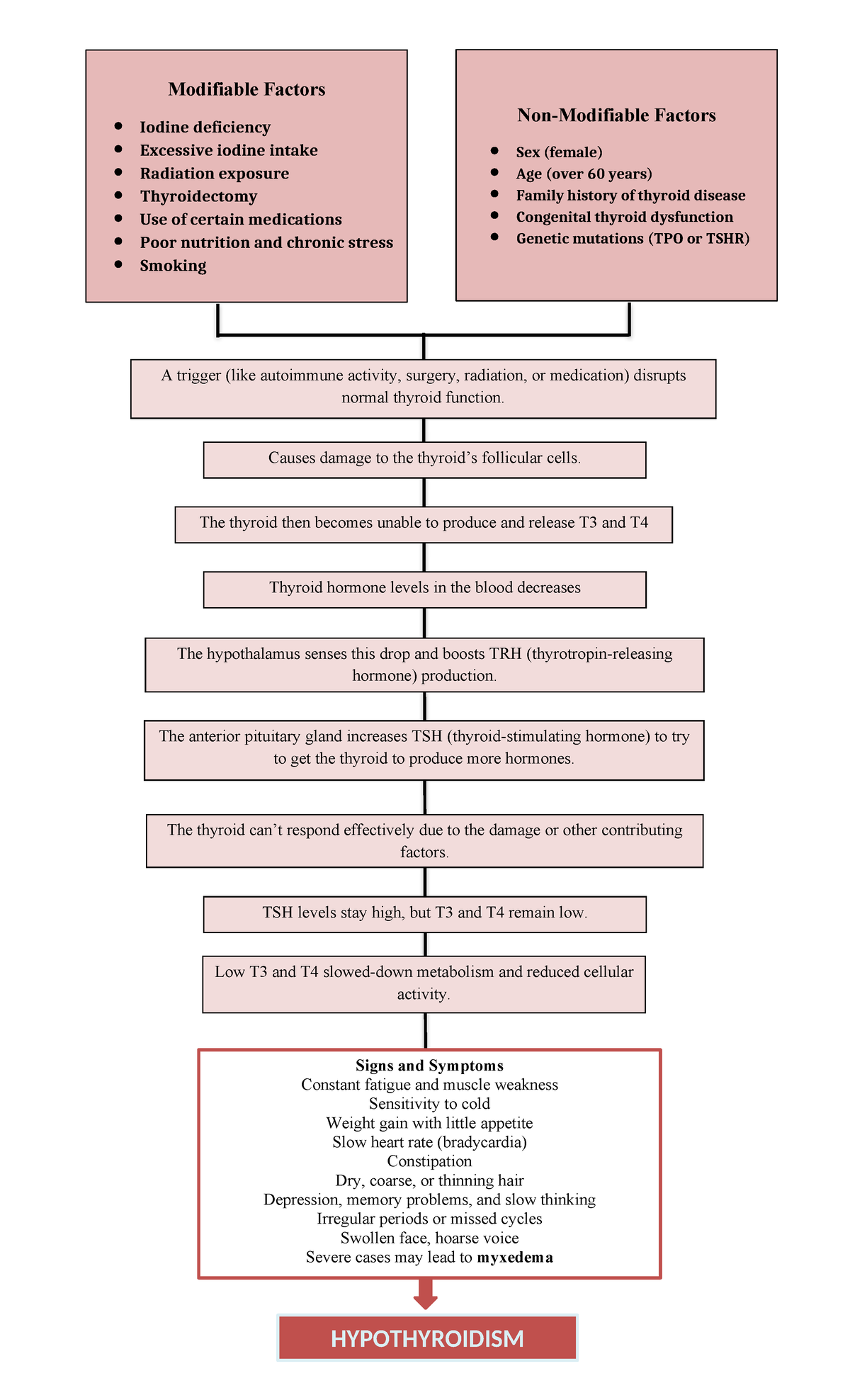 Pathophysiology-of-Hyporthyroidism - Modifiable Factors Iodine ...