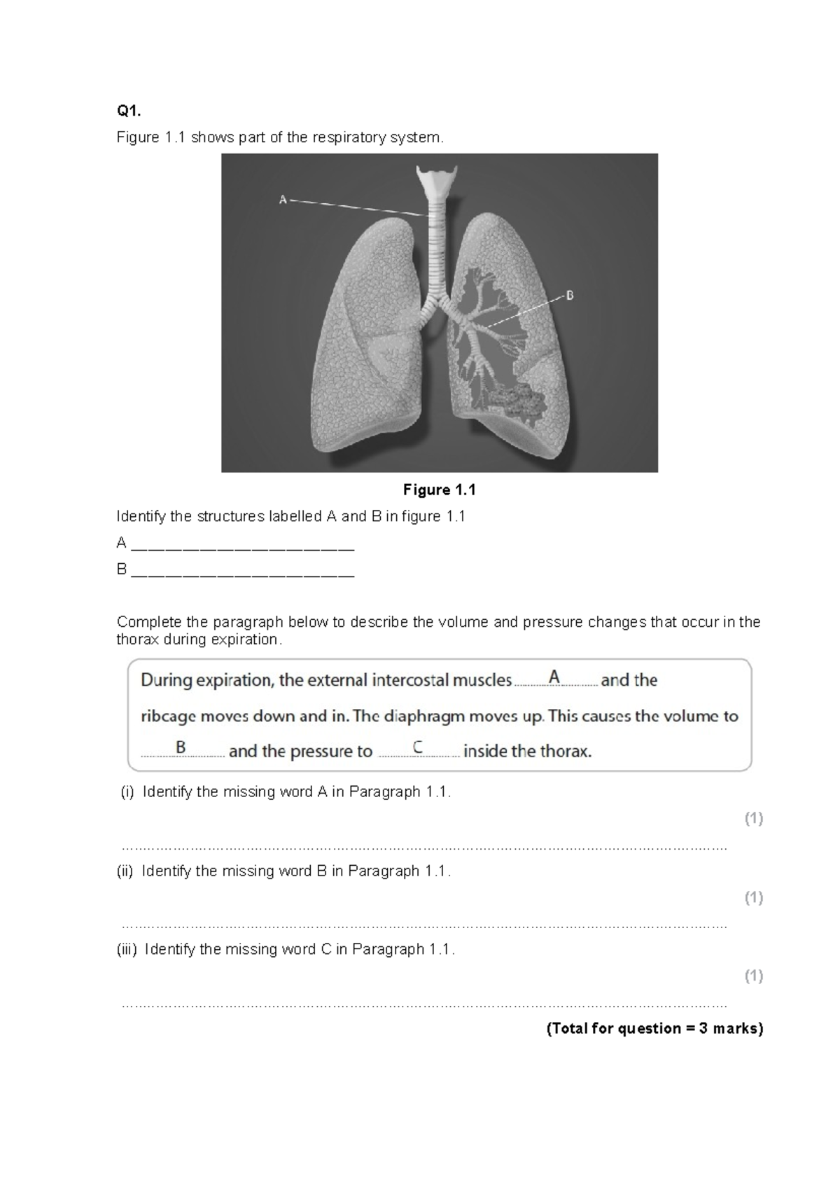 Lungs exam question - Notes - Q1. Figure 1 shows part of the ...