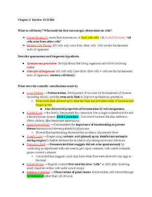 Bergey's Flow Chart - identify the bacteria - Identification flow ...