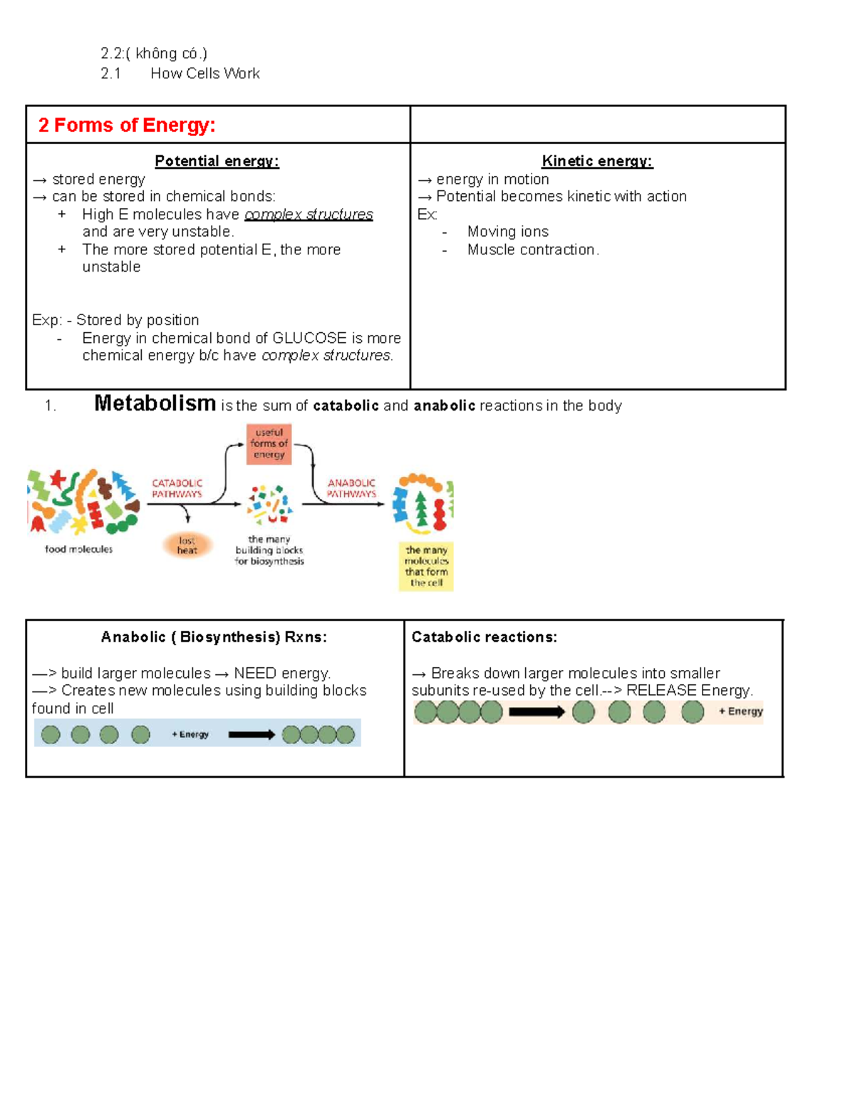 Cellular Respiration Overview and Mechanisms: A Comprehensive Guide ...