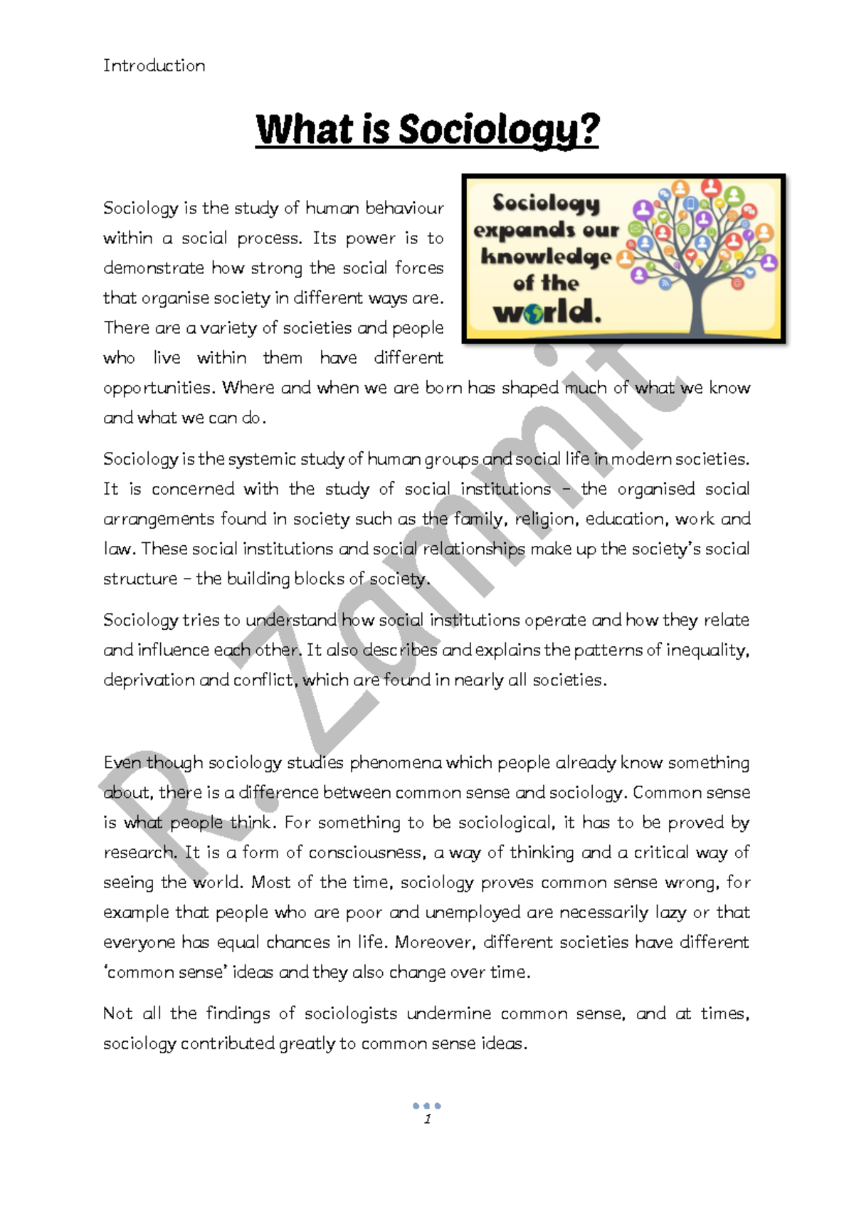 Sociology 101: Understanding Human Behavior and Social Structures - Studocu