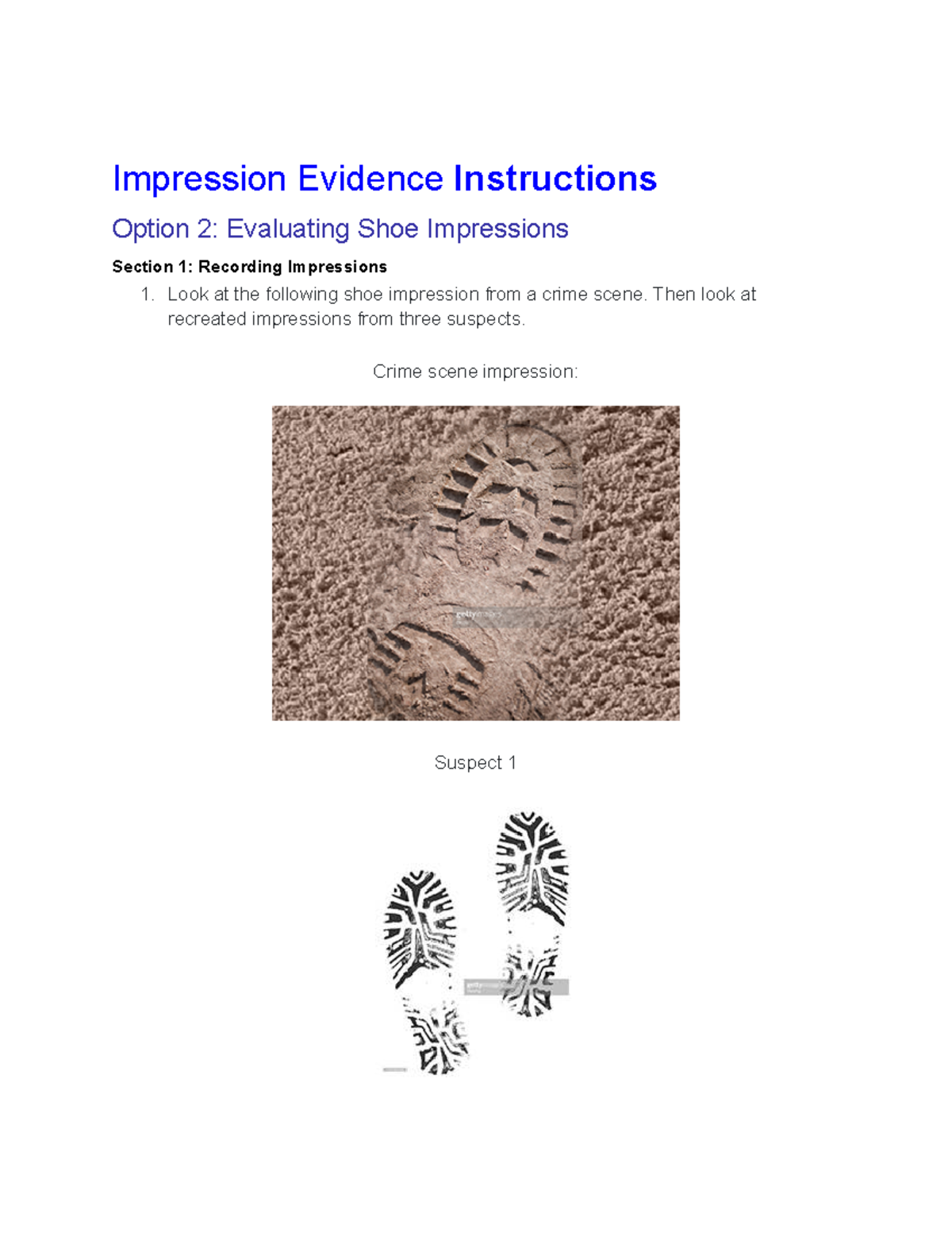 4.02 Impression Evidence Worksheet: Shoe Impressions Analysis - Studocu