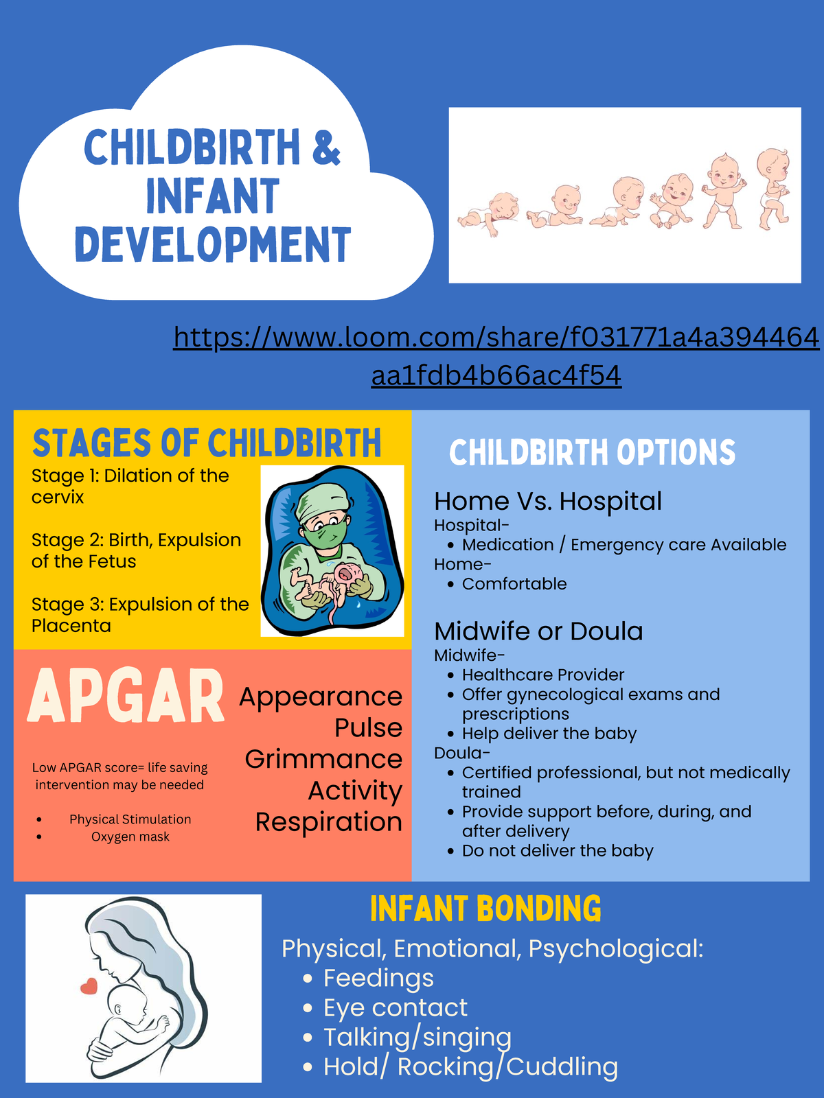 Childbirth & Infant Development: Project Presentation Notes - Studocu