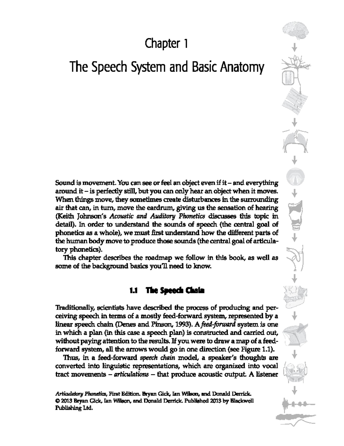 Articulatory Phonetics: The Speech System & Basic Anatomy Overview ...