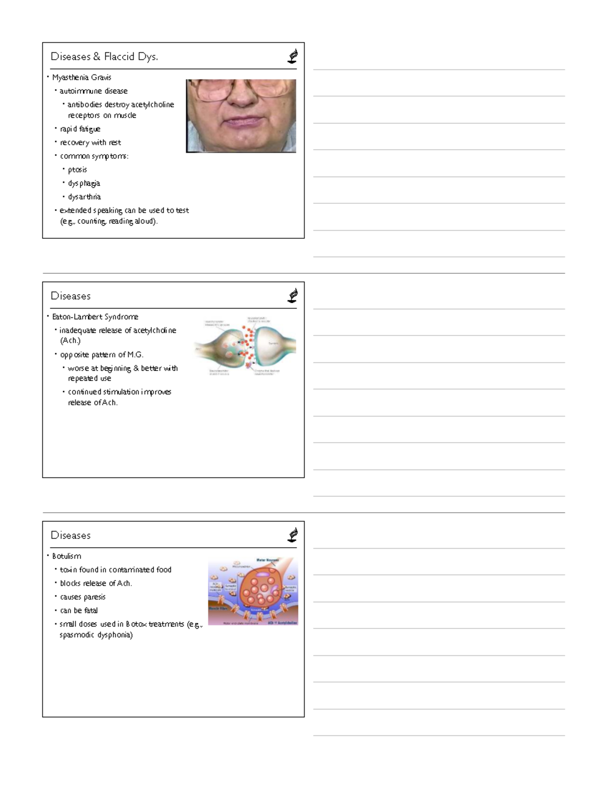 Flaccid Dysarthria & Neurological Conditions: Study Guide (CSD 101 ...