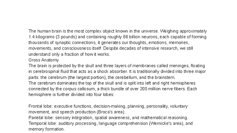 Brain Talkings: Understanding Human Brain Anatomy and Function - Studocu