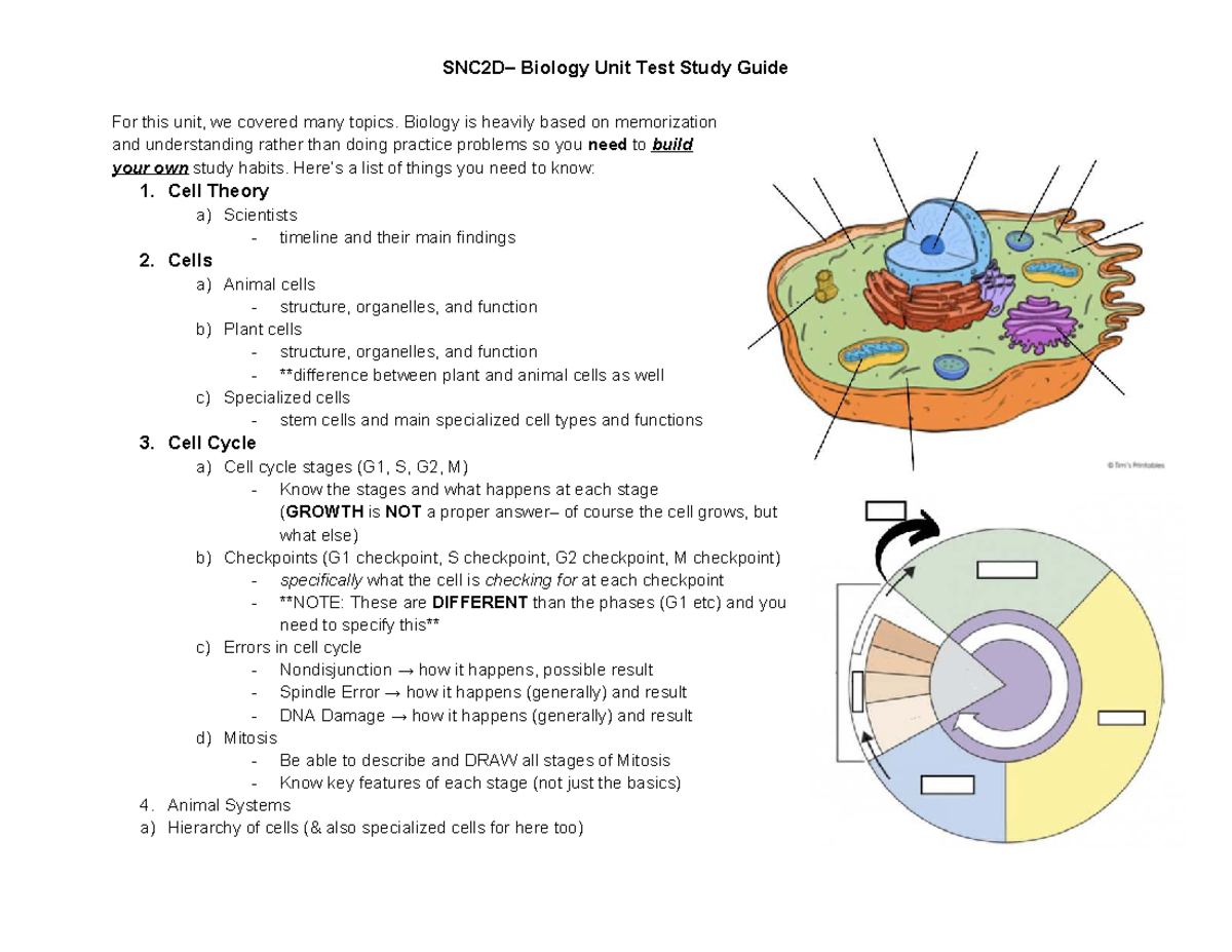 SNC2D Biology Unit Test Study Guide: Key Concepts & Topics - Studocu