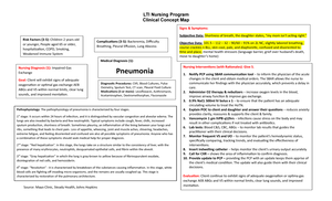 NGN Care Plan PN Template-3 - Lincoln Technical Institute: Practical ...