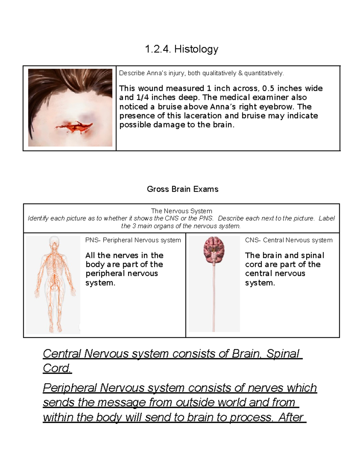 Activity 1.2.4 Histology and Brain Injury Assessment Worksheet - Studocu