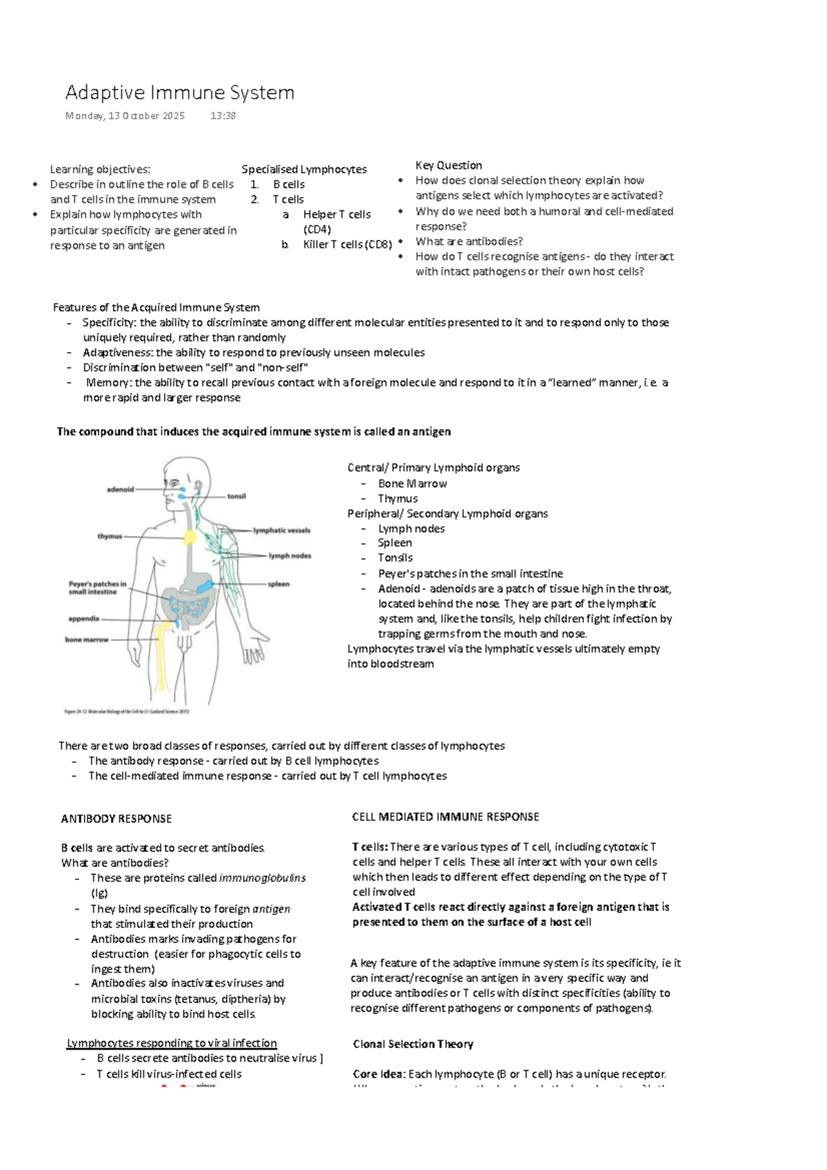 MSC Immunology - Week 2.1: Overview of the Adaptive Immune System - Studocu