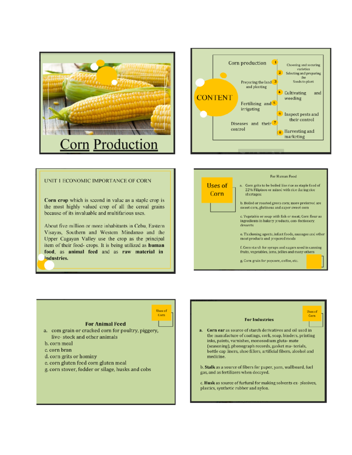 CORN Production Overview and Key Insights - Studocu
