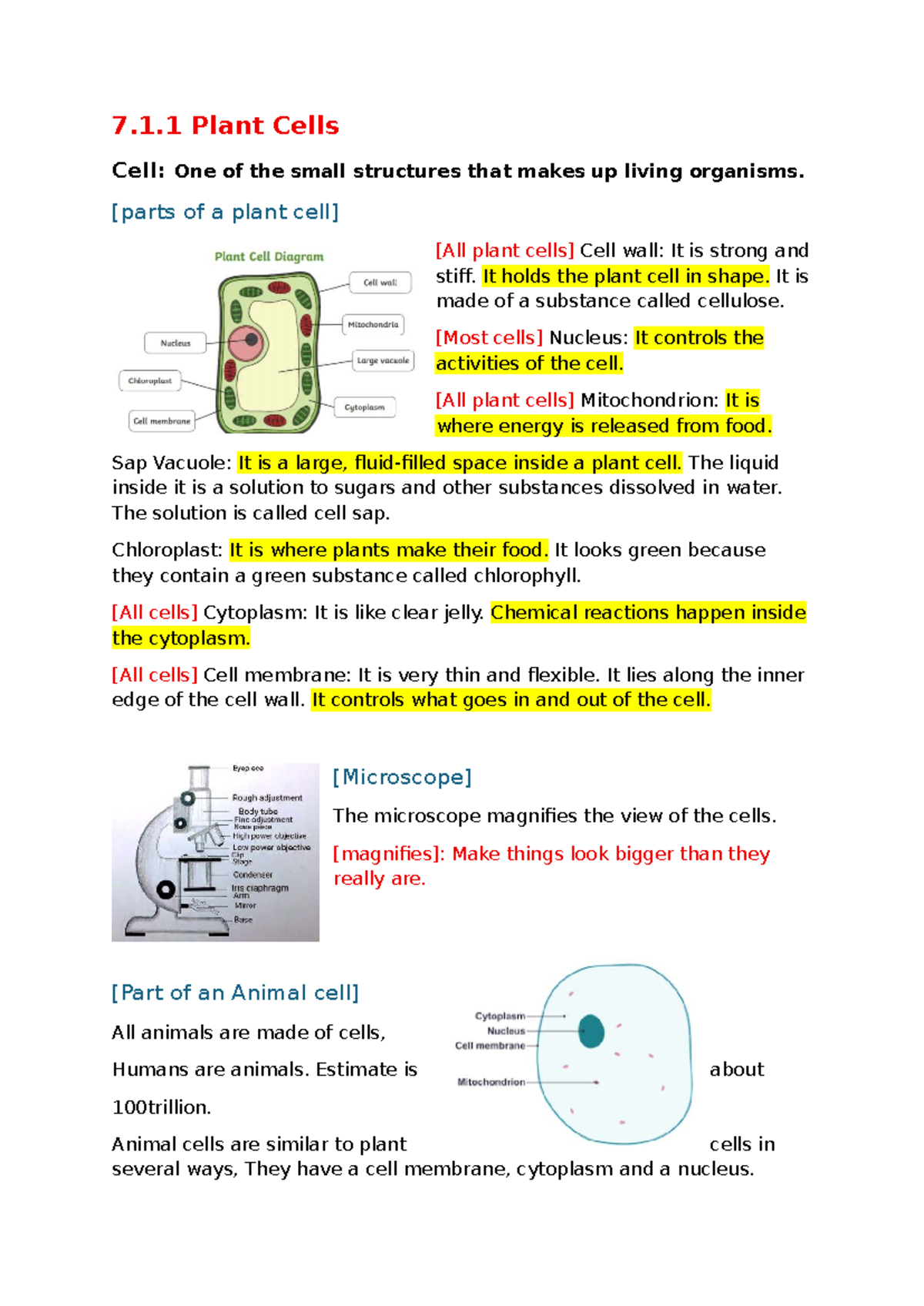 Igcse Science: Plant & Animal Cells, Matter Properties & Particle ...