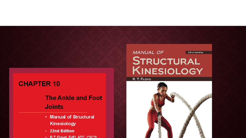 CHAPTER 10: Ankle and Foot Joints - Manual of Structural Kinesiology ...