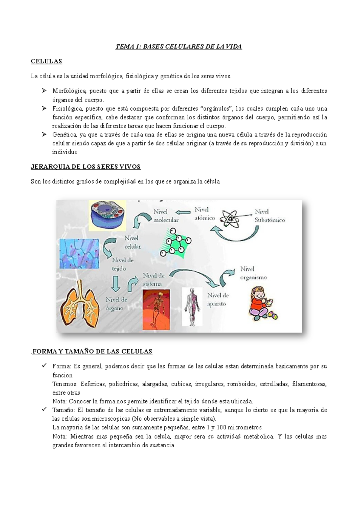 Unidad I - TEMA 1: BASES CELULARES DE LA VIDA CELULAS La célula es la ...