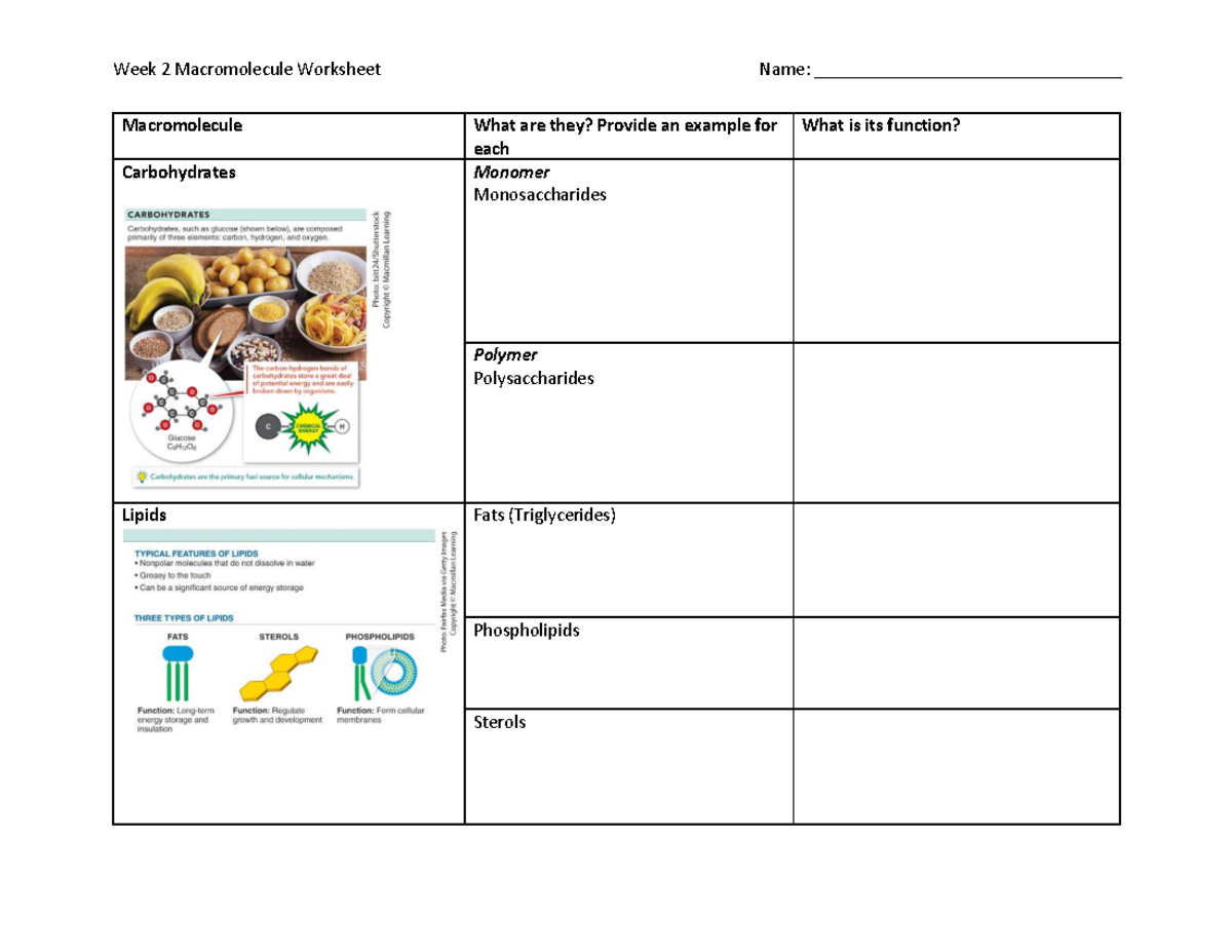 Macromolecule Worksheet - BIOL107 - Studocu