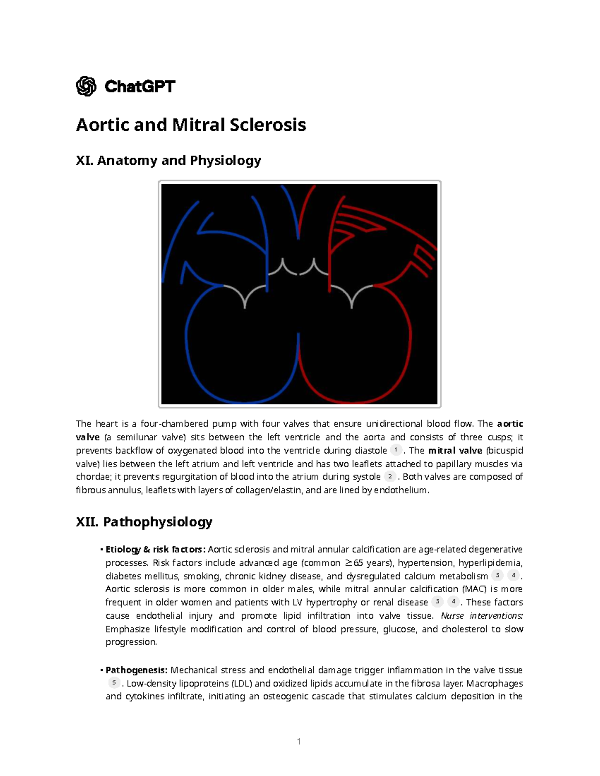 Aortic and Mitral Sclerosis: Anatomy, Pathophysiology, and Nursing Care ...