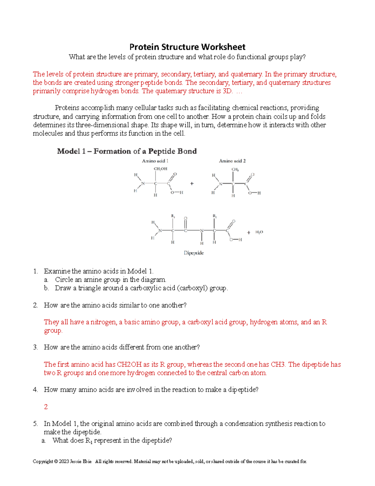 Protein Structure Worksheet (Bio 118) - Levels & Functional Groups ...