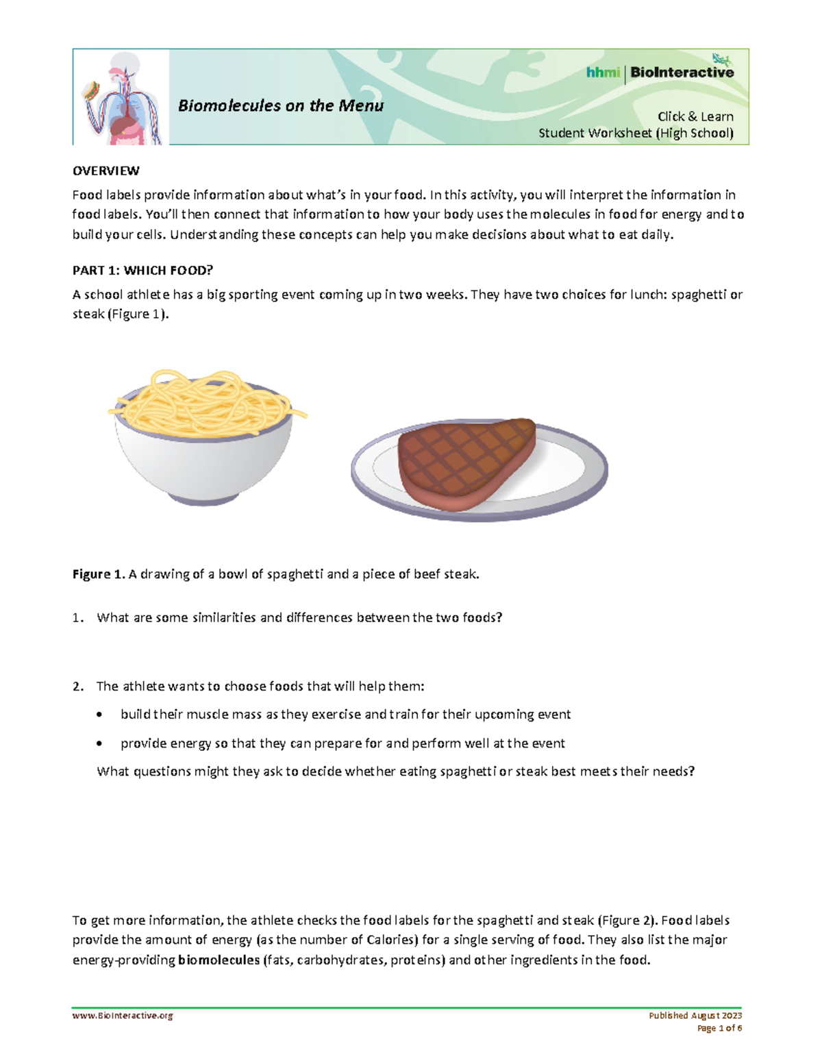 Biomolecules on the Menu: High School Student Worksheet Guide - Studocu