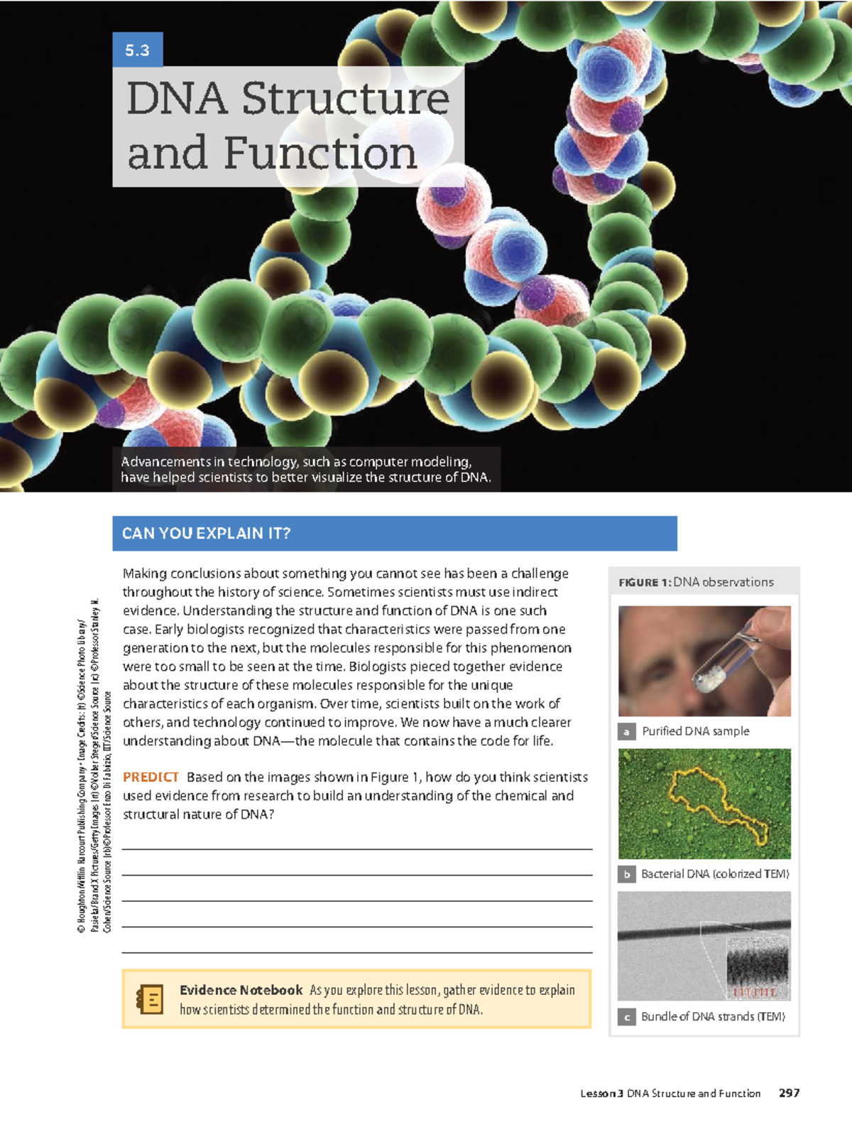 5.3 DNA Structure and Function: Insights from Griffith, Avery, and ...