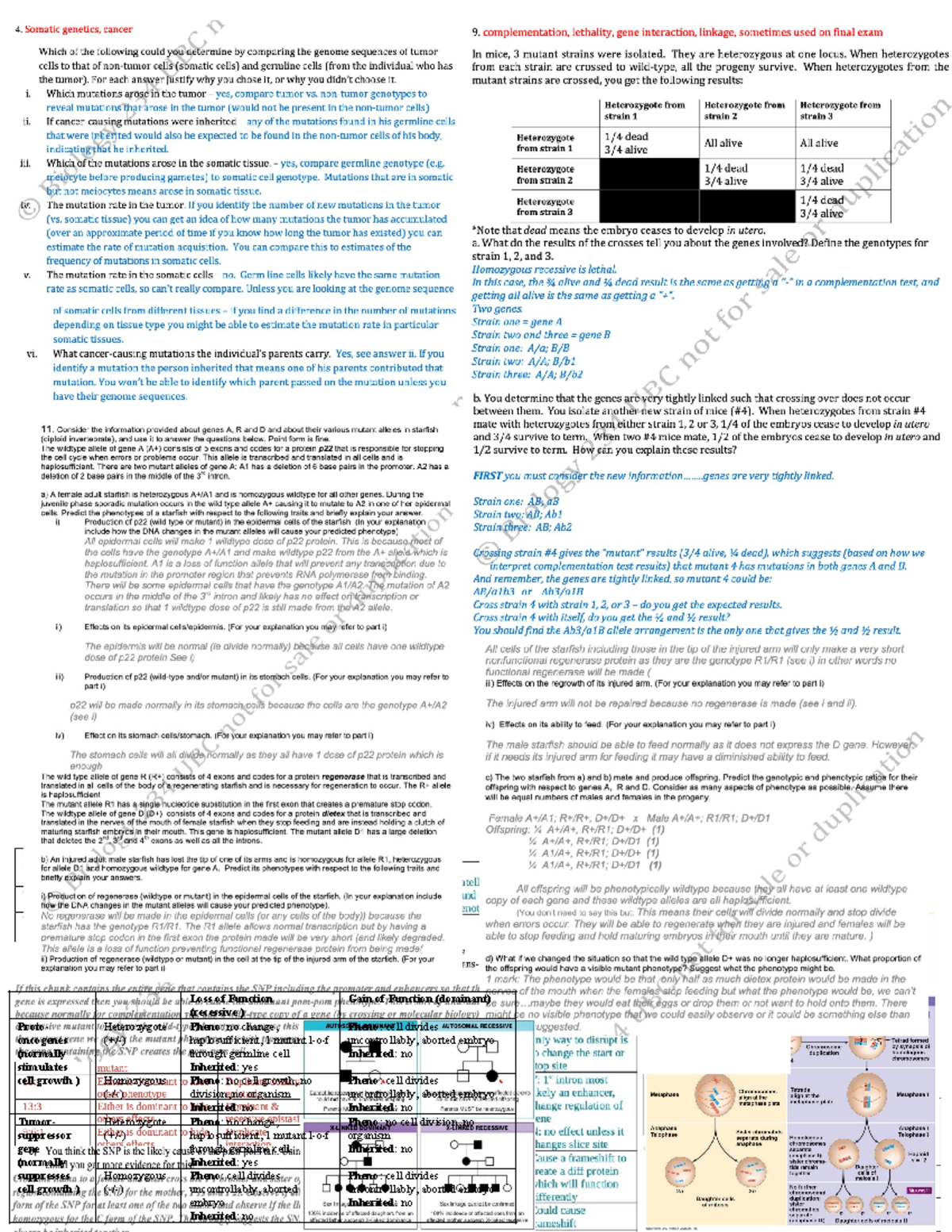 BIOL234 Final Exam Cheatsheet - Gene Dosage & Mutation Screens - Studocu