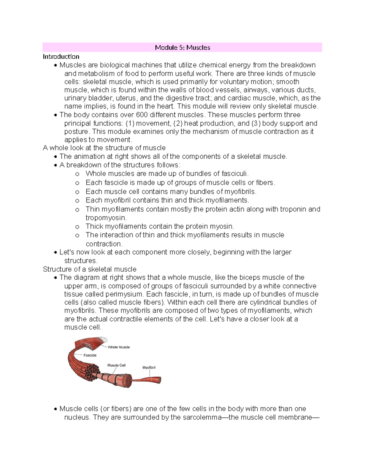 Module 5 - physilogy - Module 5: Muscles Introduction Muscles are ...
