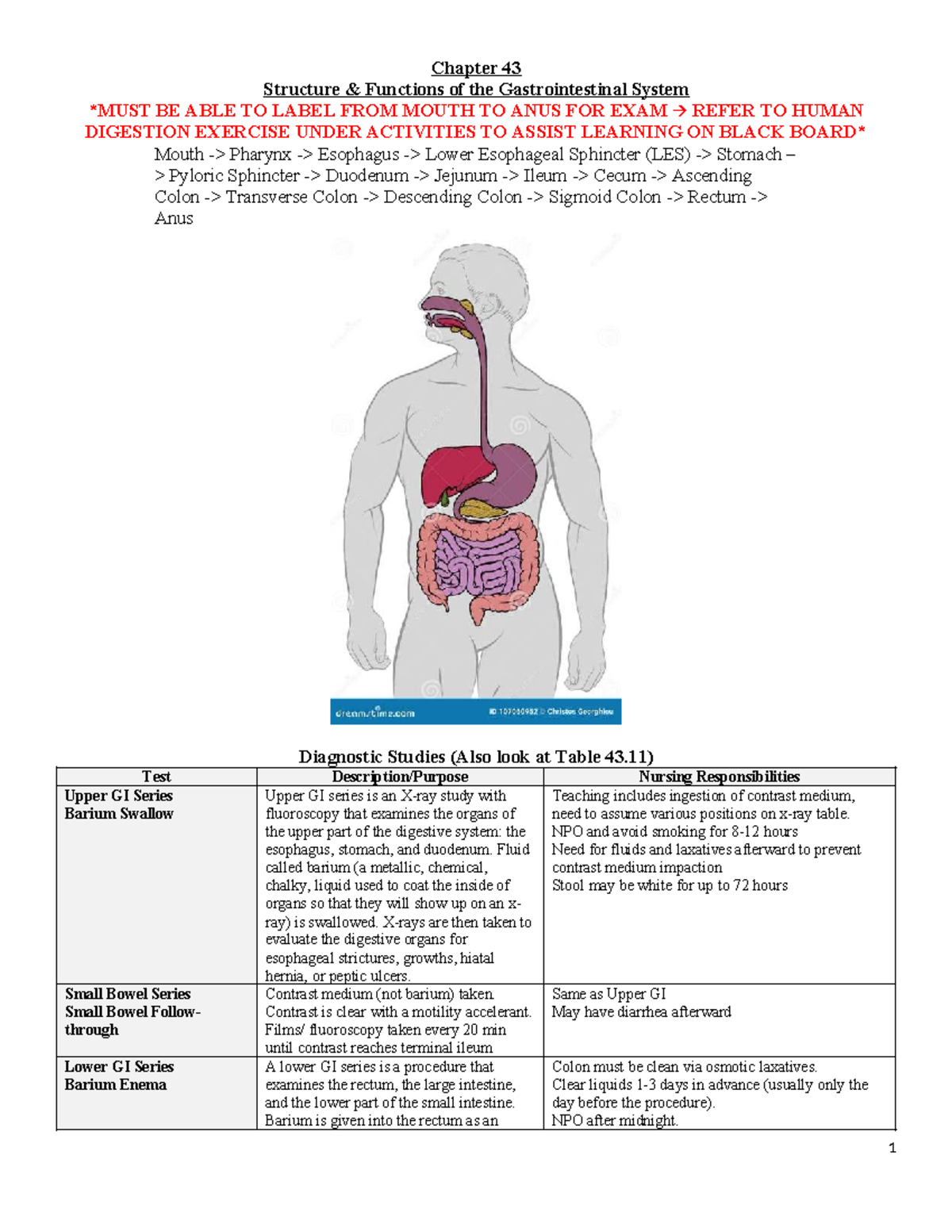 Chapter 43, 46, 47 Review: GI Assessment & Diagnostic Procedures for ...