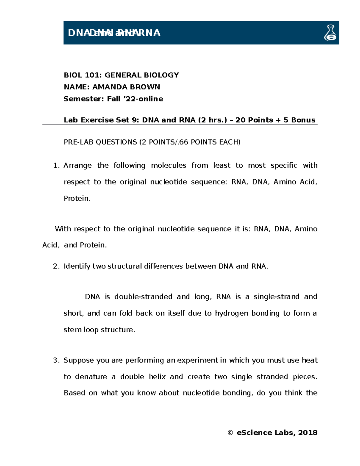 BIOL 101 Lab 9: Exploring DNA & RNA Structures and Functions - Studocu