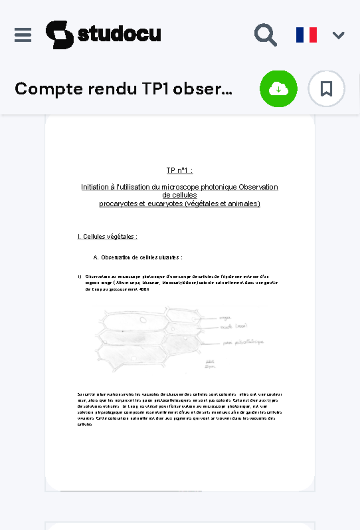 Compte rendu TP1 observation cellules - TP n°1 Initiation à l’utilisation du microscope ...