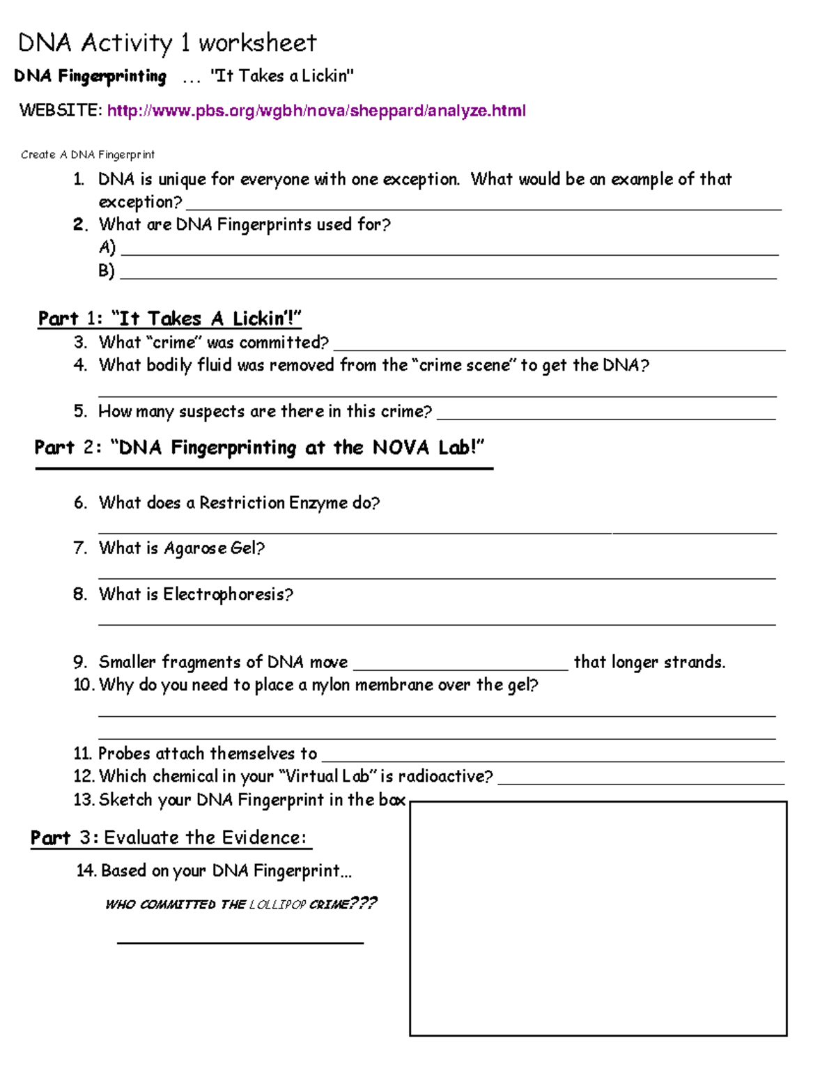 DNA Activity 1 Worksheet: DNA Fingerprinting & Evidence Evaluation ...