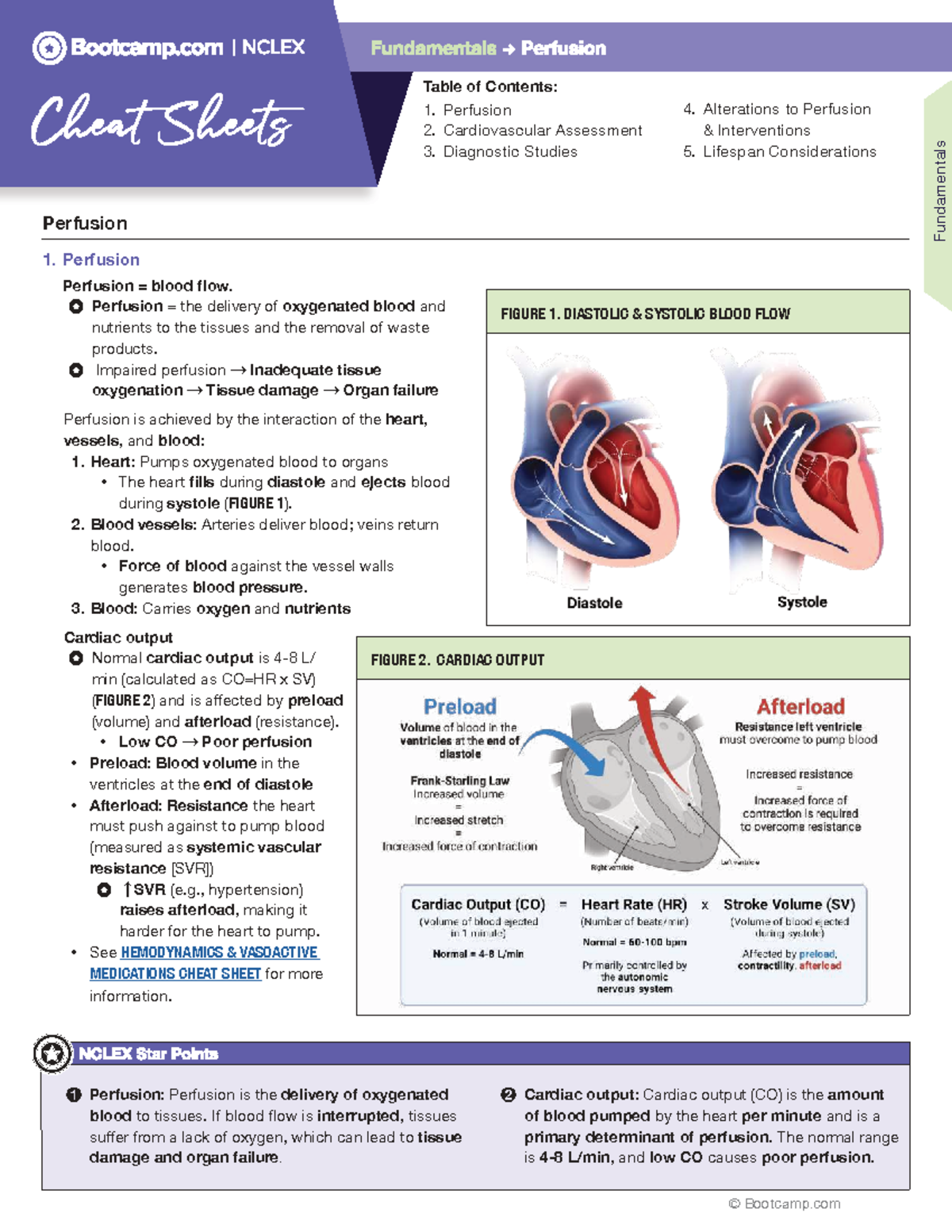 Perfusion Interventions & Lifespan Considerations Cheat Sheet - Studocu