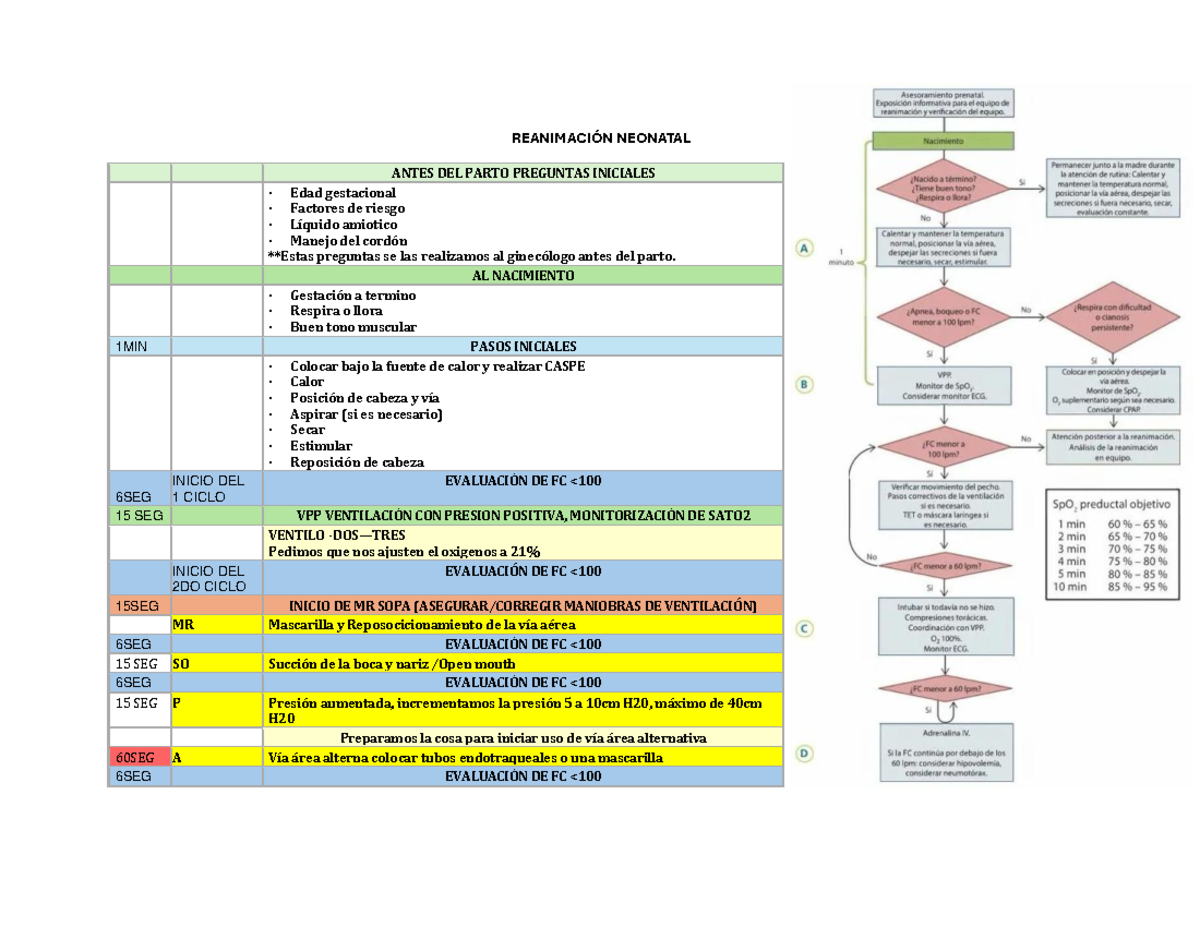 Reneo Y Atencion DEL RN - Pasos de la reanimación neonatal y pasos de ...