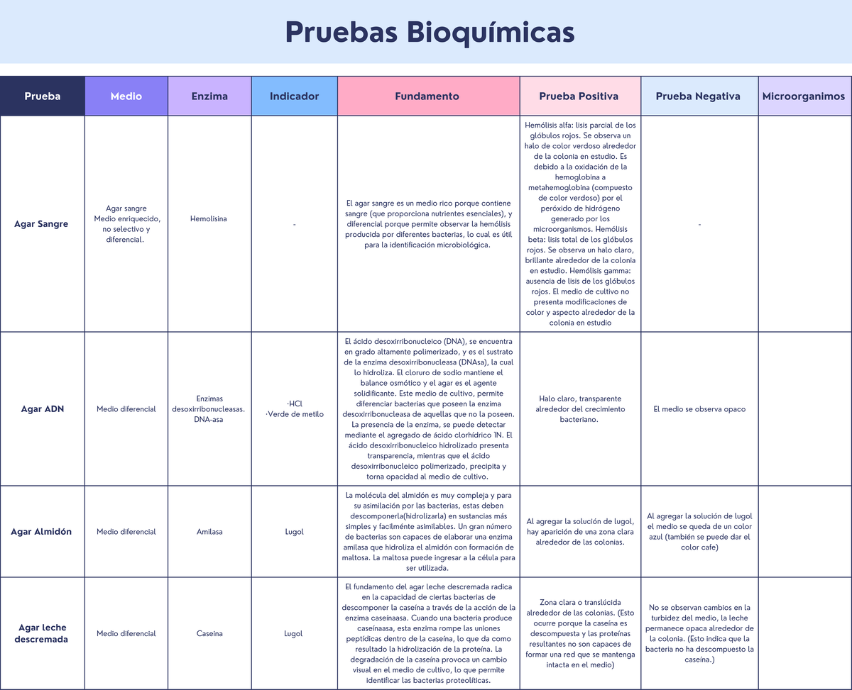 Cuadro de Pruebas Bioquímicas 1: Identificación Microbiológica - Studocu