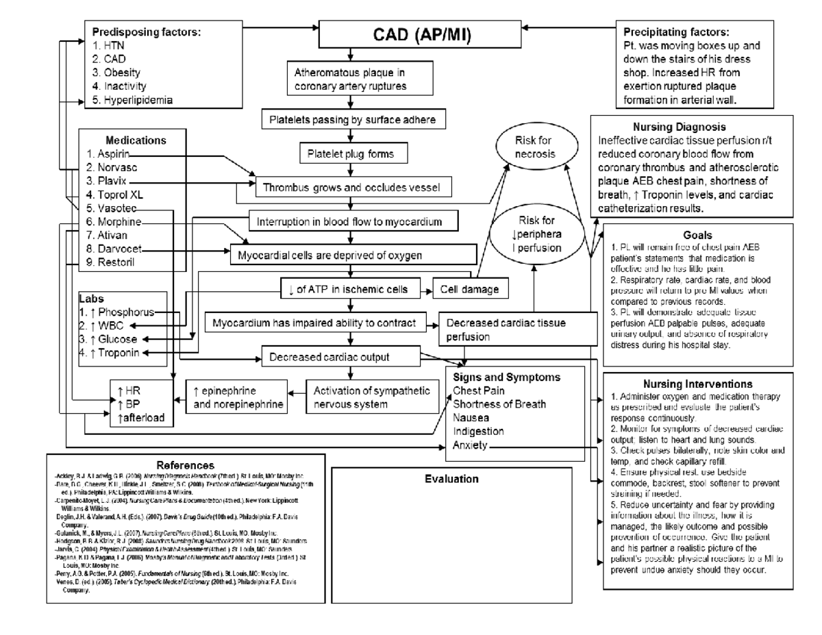 CAD AP MI Concept Map Activity: Nursing Diagnosis & Interventions - Studocu