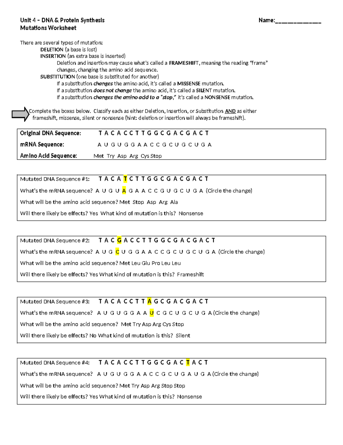 Unit 4 DNA Protein Synthesis Mutations Worksheet - Studocu