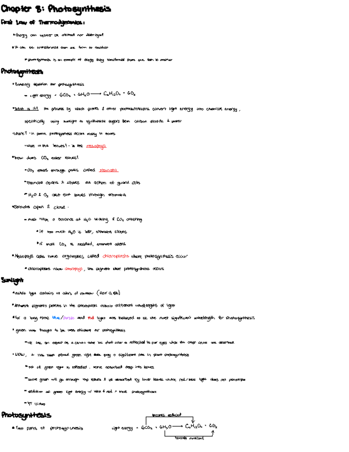 Chapter 8: Photosynthesis and Energy Transformation in Plants - Studocu