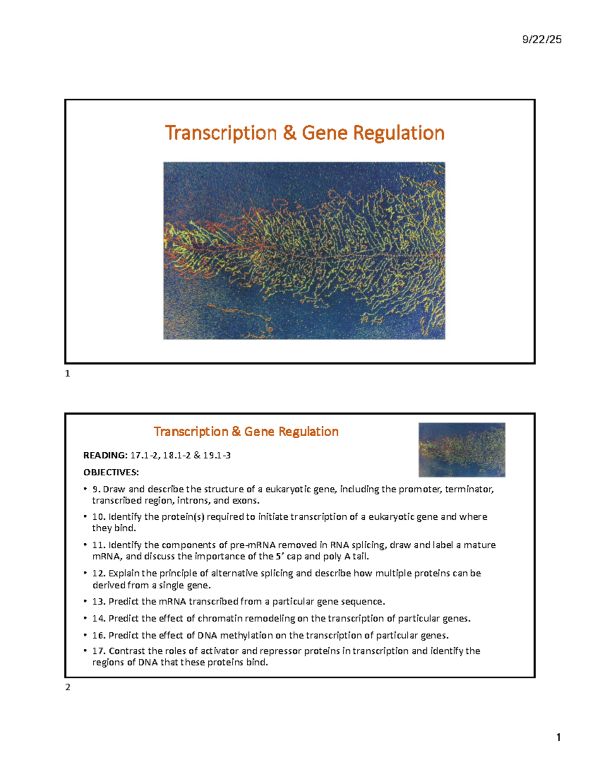 BIO1330 Final Exam Lecture: Overview of Transcription & Gene Regulation ...