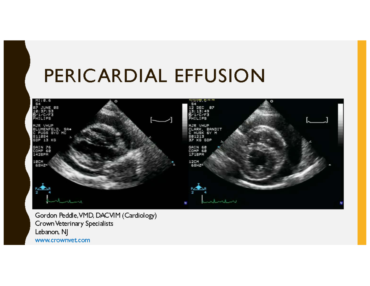 Pericardial Effusion in Dogs & Cats: Causes, Symptoms, Treatment ...