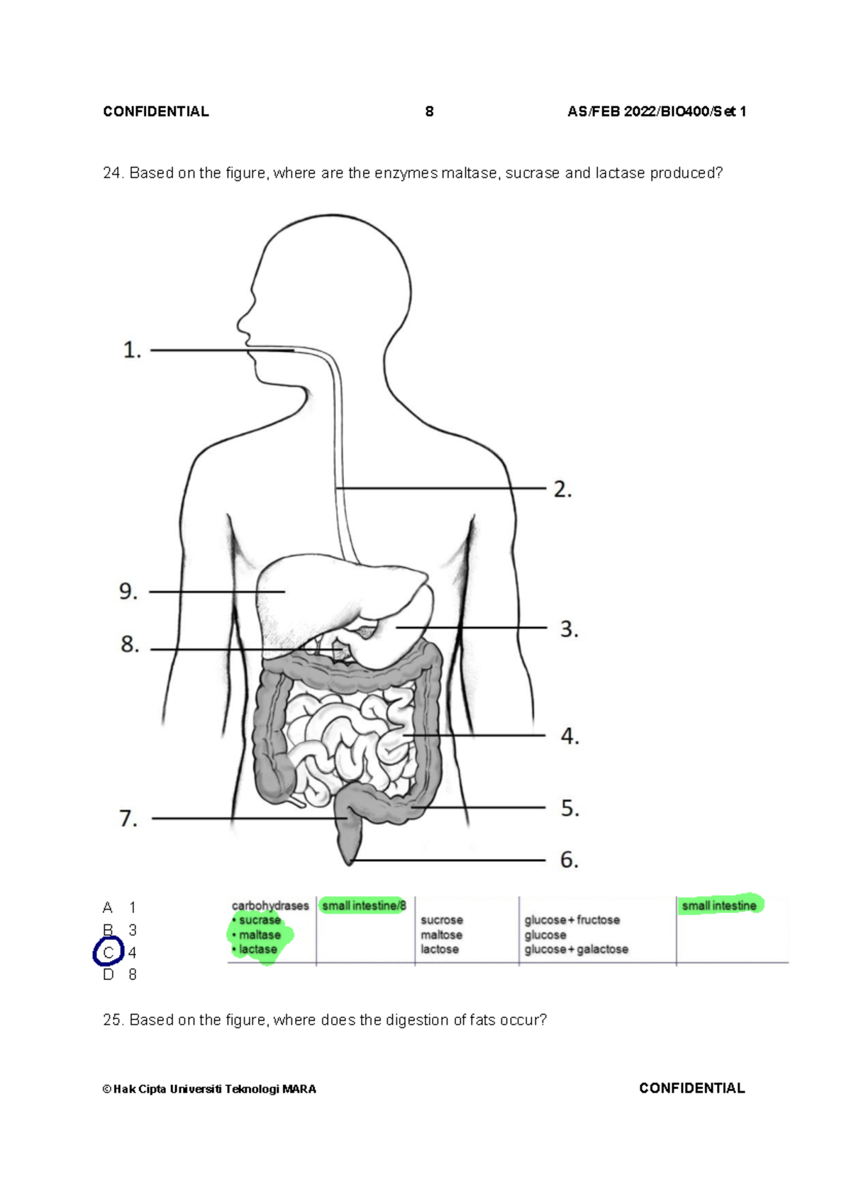 BIO400: Digestive & Urinary System Exam Review (AS/FEB 2022) - Studocu