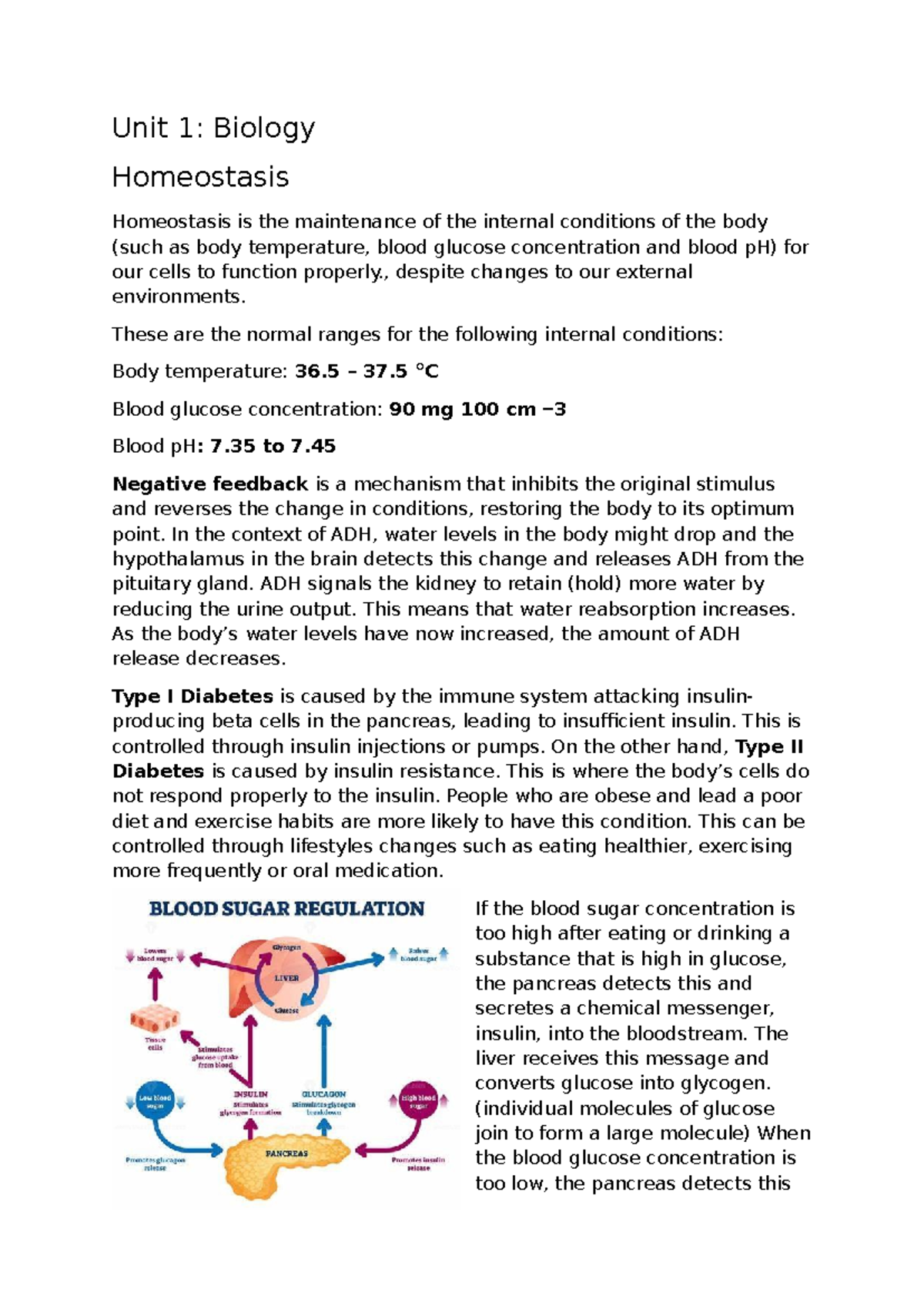Unit 1: Biology - Homeostasis and Blood Sugar Regulation - Studocu
