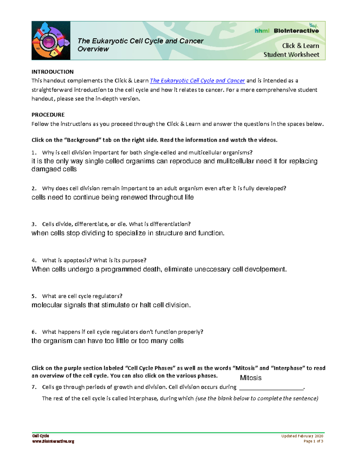 Cell Cycle Overview-Student WS-CL - Click & Learn Student Worksheet The ...
