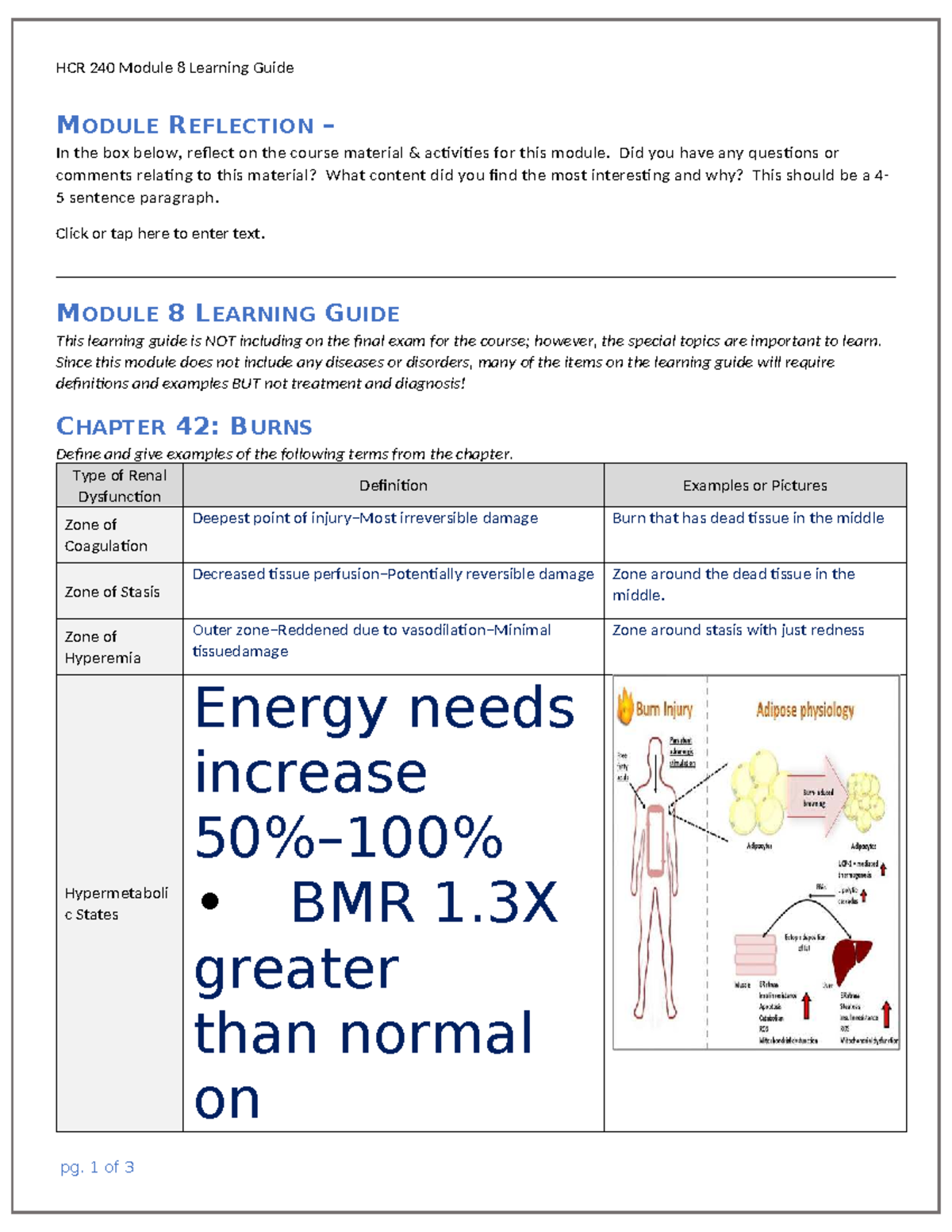 HCR 240 Module 8 Learning Guide: Reflection on Course Material - Studocu