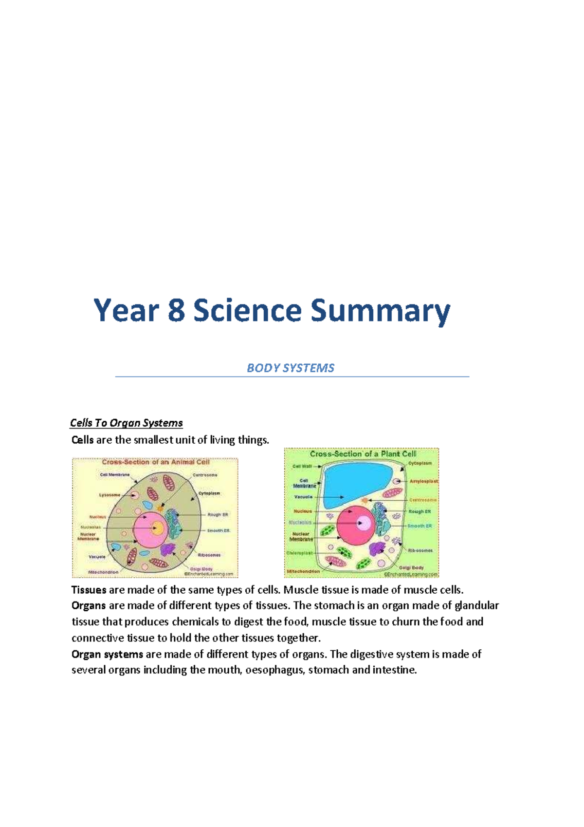 Year 8 Science Summary: Body Systems & Energy Types - Studocu