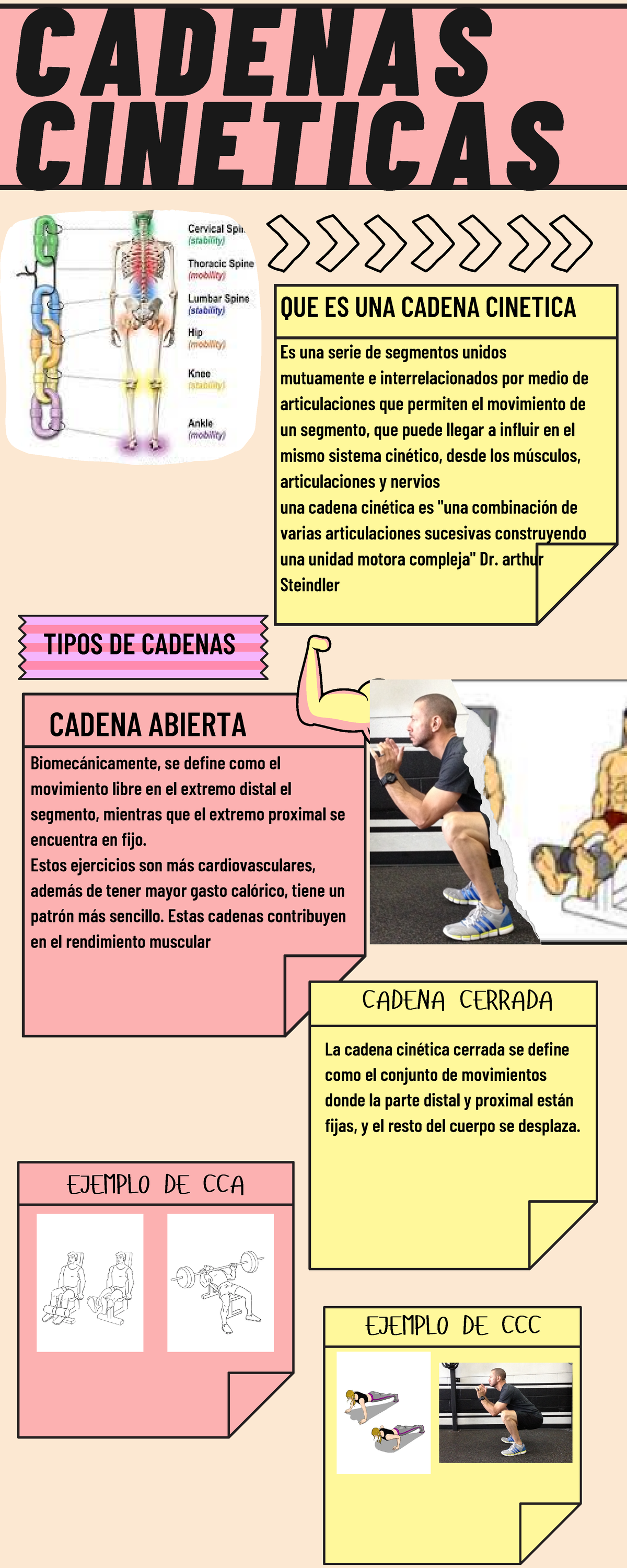 Apuntes parcial final - Fisio - CADENAS CINETICAS TIPOS DE CADENAS ...